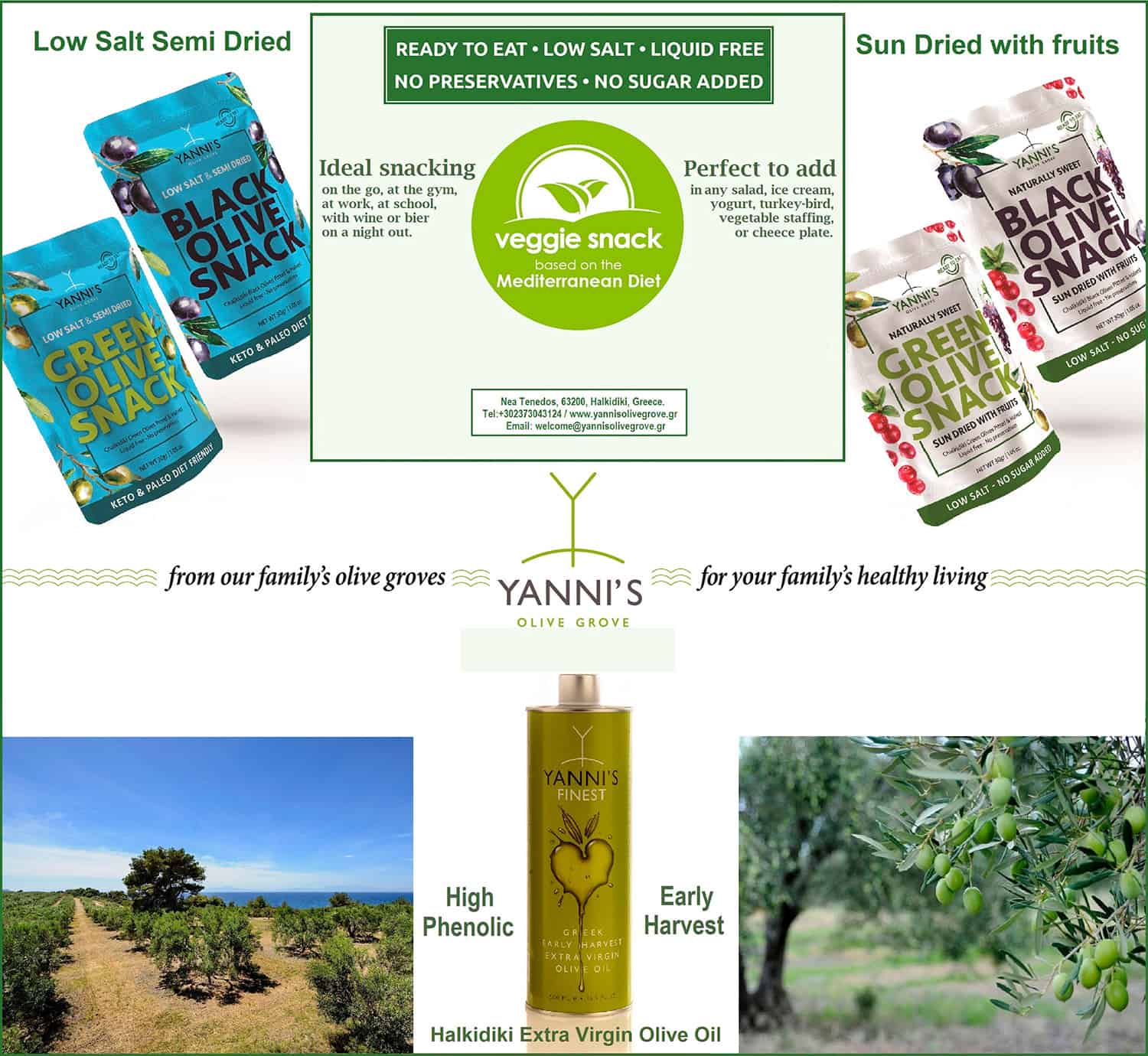 YANNI’S OLIVE GROVE, AN INNOVATIVE GREEK FAMILY COMPANY AND MICOIL STUDY – Olive Oil Portal